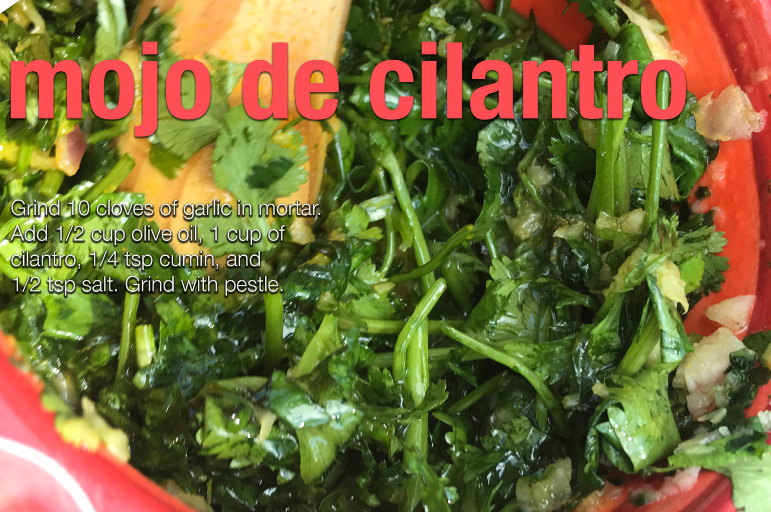 Mojo de Cilantro - I See Spain – Handcrafted Spanish Grater Plates ...
